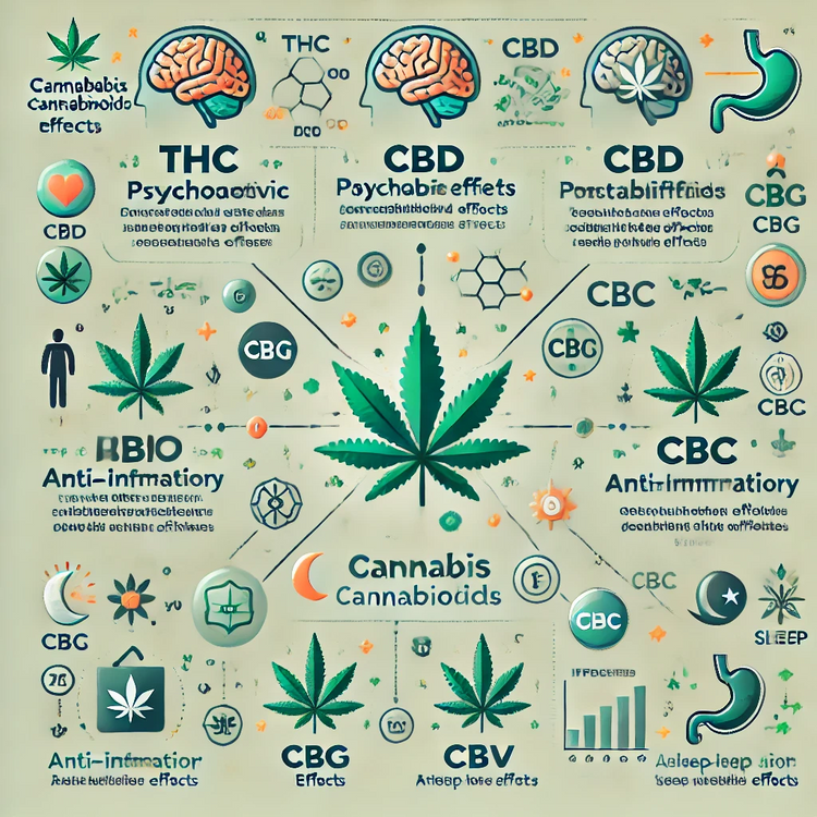 Understanding Cannabinoids: The Key Compounds in Cannabis and Their Ef ...